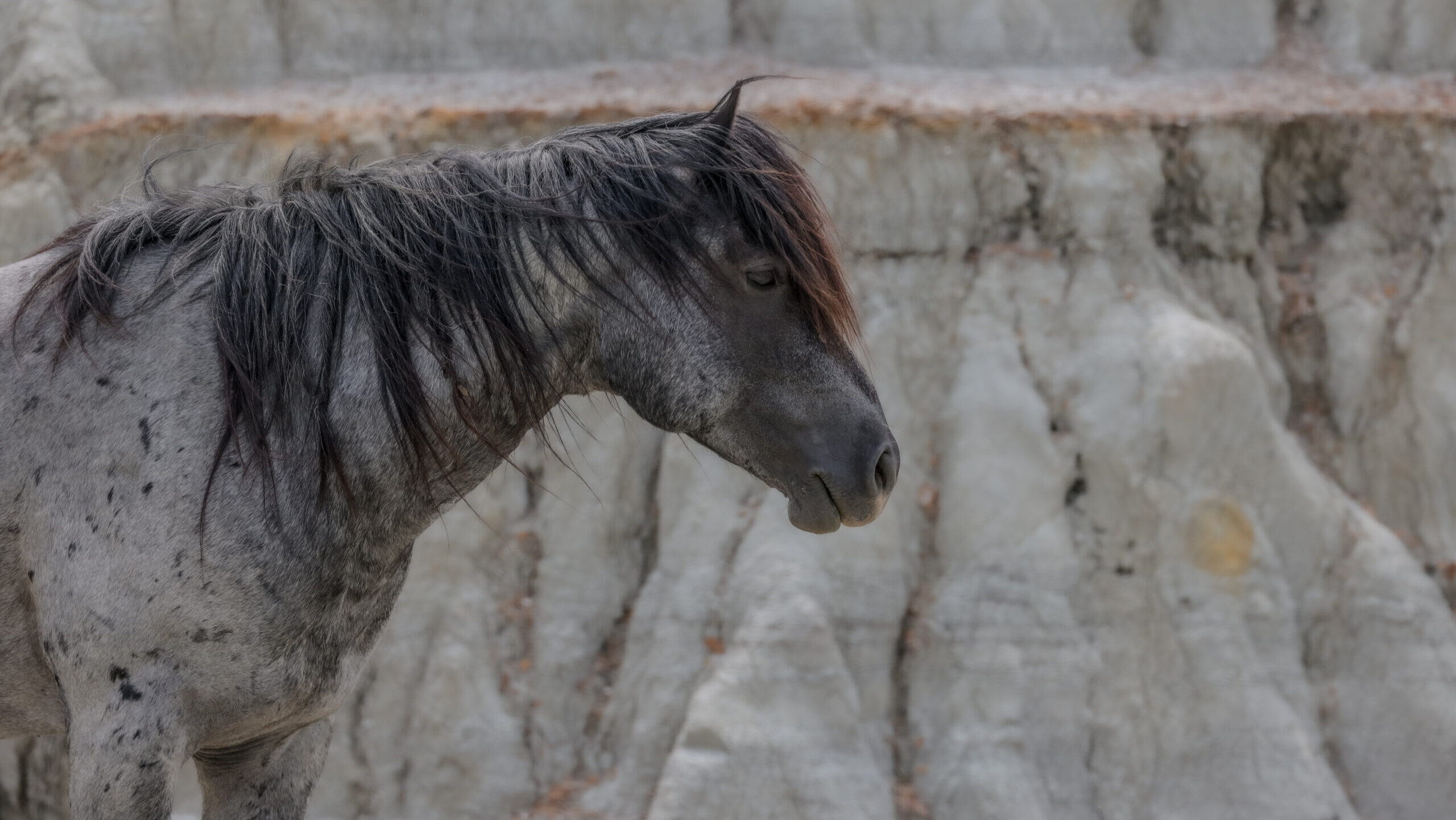 Xander's Band - Dakota Grown Photos